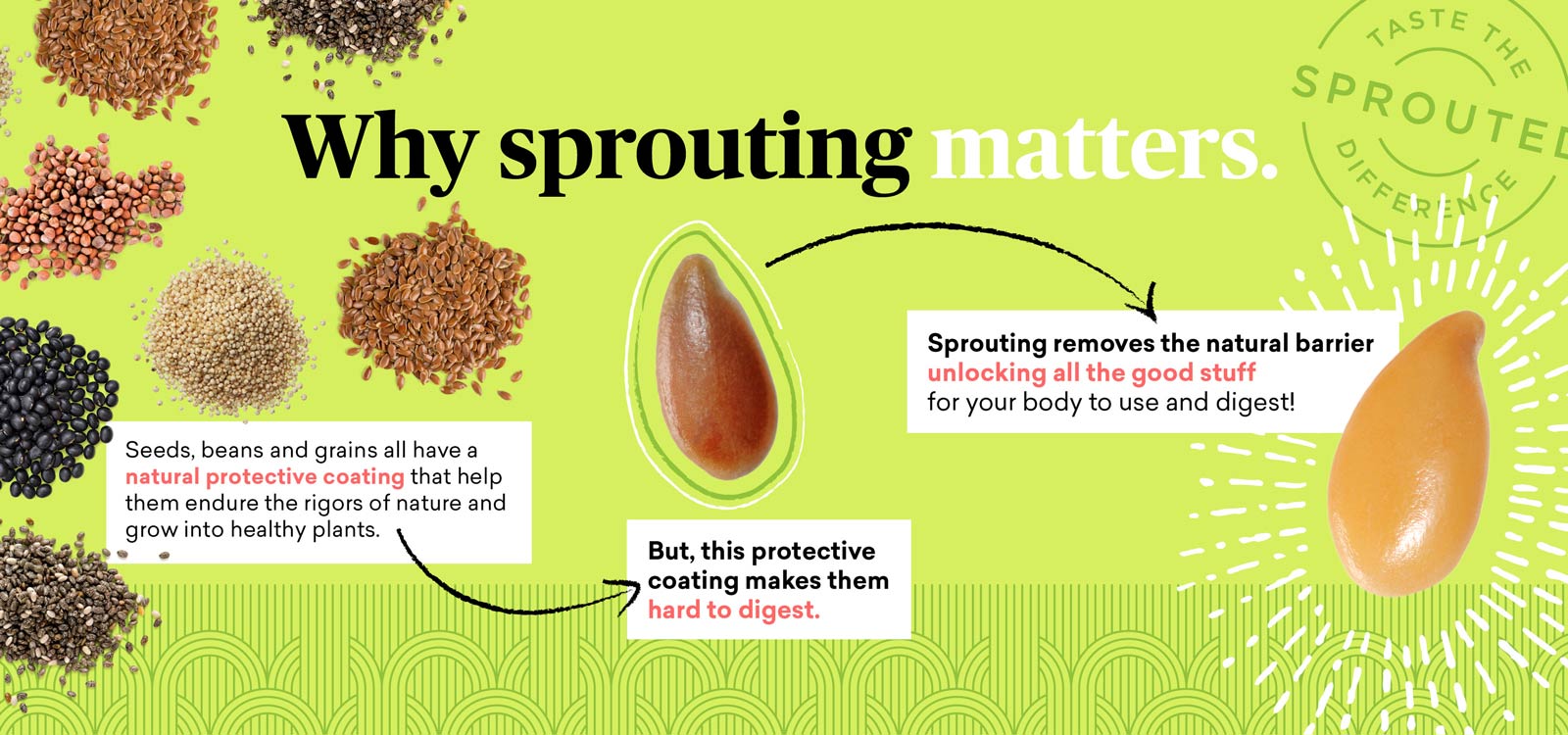 Freebies – Katharine Clark, RN